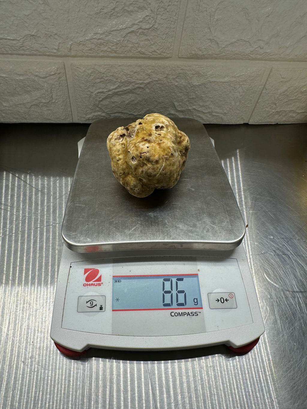 3 OZ FRESH WHITE ITALIAN TRUFFLE – Trufflin®